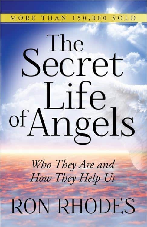 Secret Life Of Angels - Christian Expressions Bookstore & Gifts