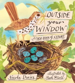 Outside Your Window - Christian Expressions Bookstore & Gifts