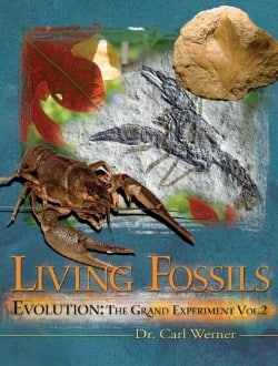 Living Fossils : Evolution The Grand Experiment Vol 2 - Christian ...