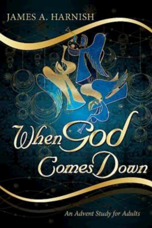 When God Comes Down (Student/Study Guide) - Christian Expressions ...