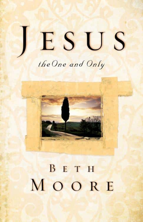 Jesus The One And Only – Christian Expressions Bookstore & Gifts